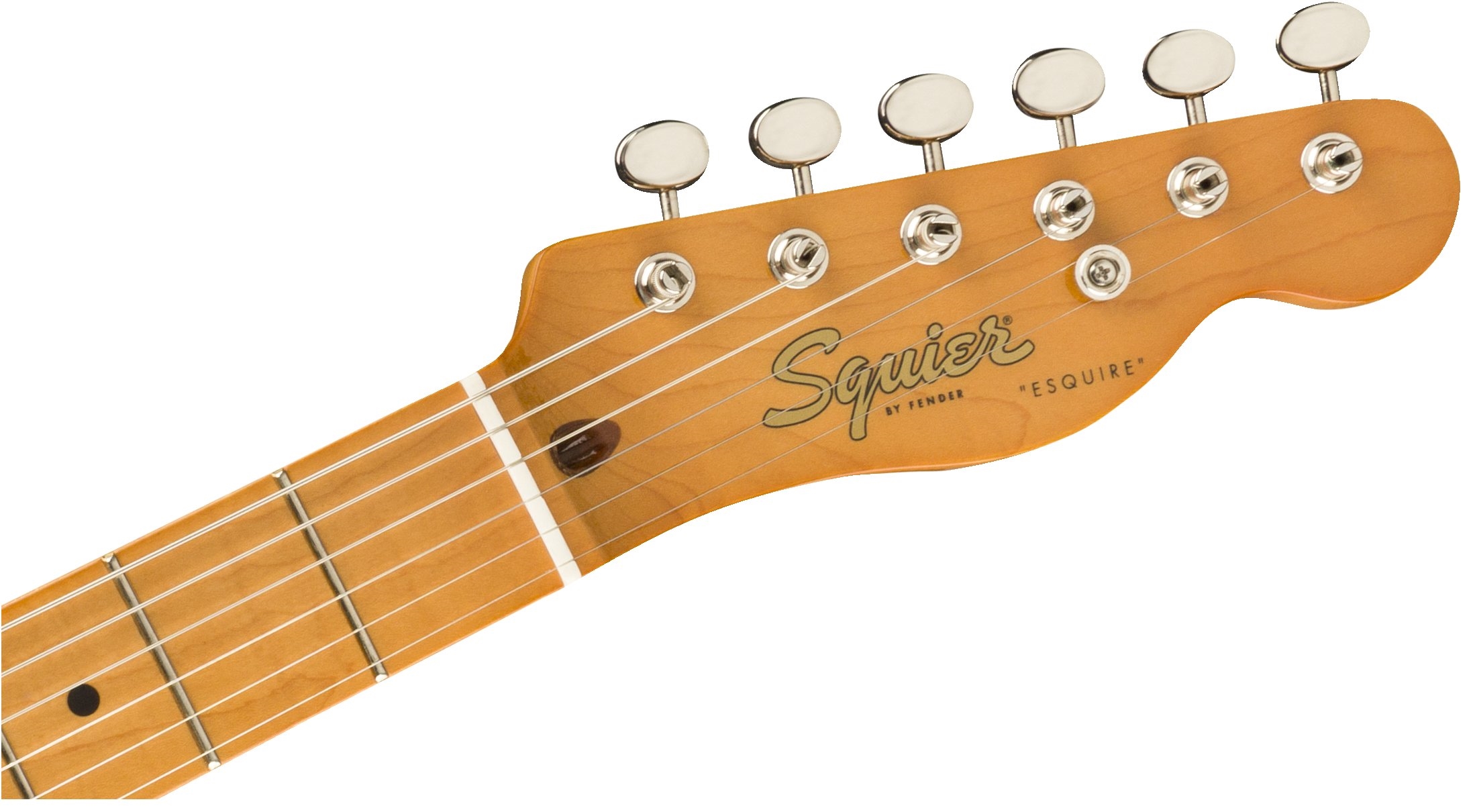 Squier CV Esquire pics in... | Telecaster Guitar Forum
