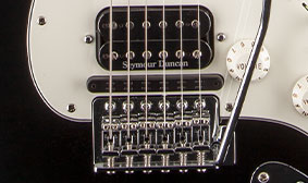 Integrated Fishman® TriplePlay System